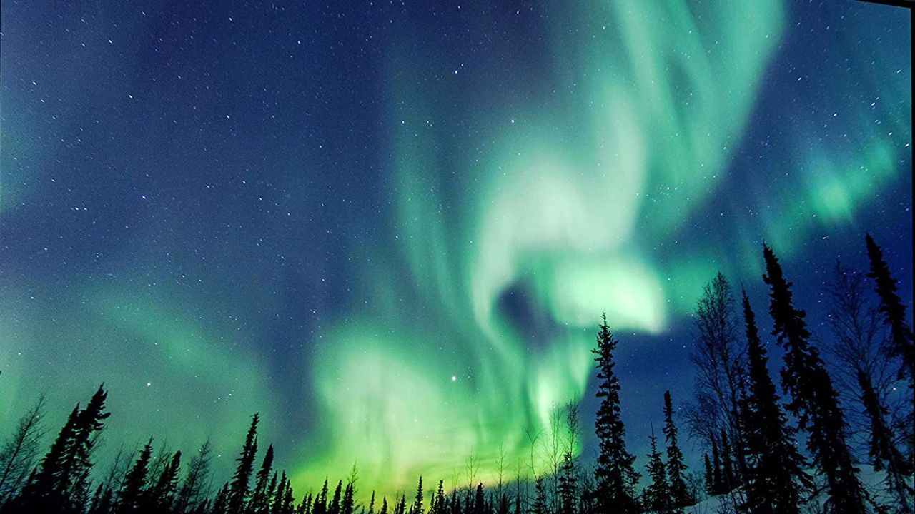 6 Best Monitor For Adobe Illustrator (Ultimate Guide) – Monitors Hype