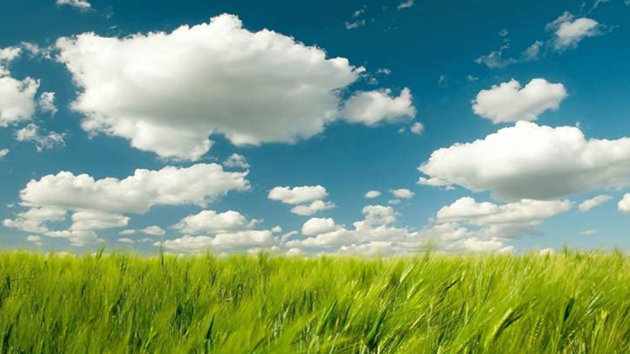 5 Best Monitors For Twitch Chat (Top 5 picks) – Monitors Hype