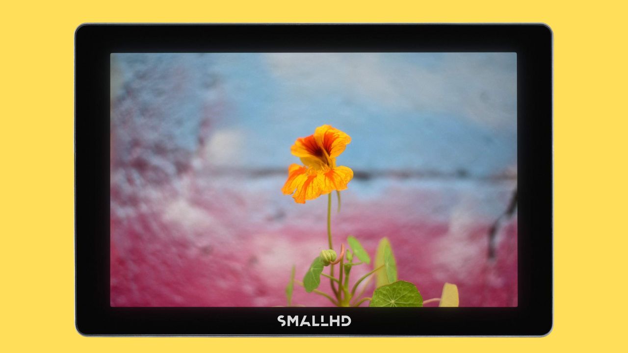 3 Best Monitor For Red Komodo (Best Matches) – Monitors Hype