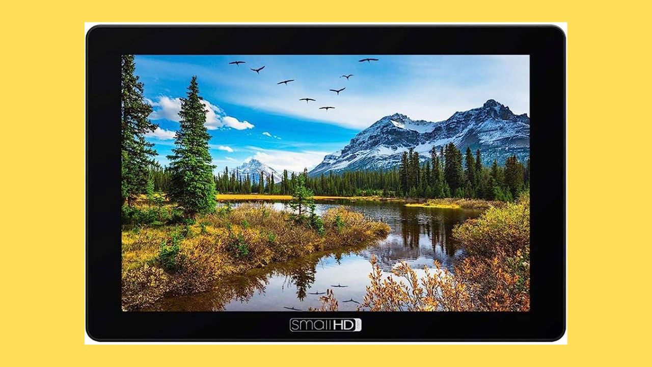 3 Best Monitor For Red Komodo (Best Matches) – Monitors Hype